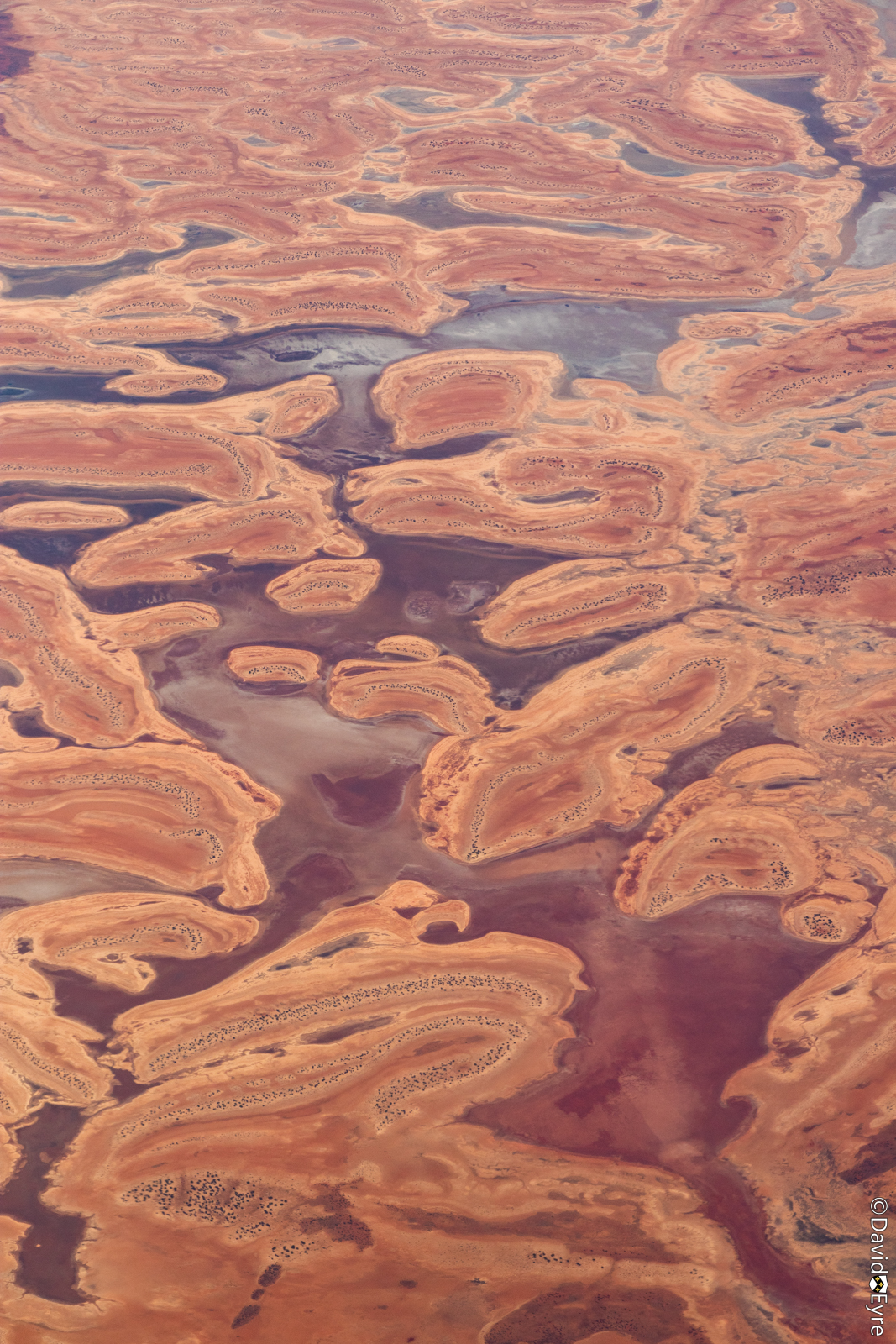 Lake Austin, NNE of Mount Magnet, Western Australia, seen from VH-VXH ...
