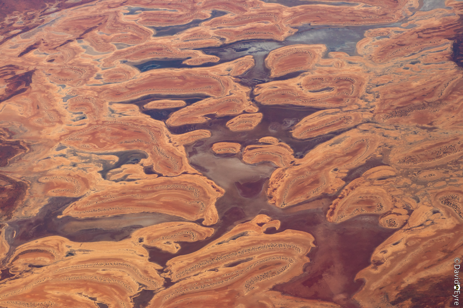 Lake Austin, NNE of Mount Magnet, Western Australia, seen from VH-VXH ...